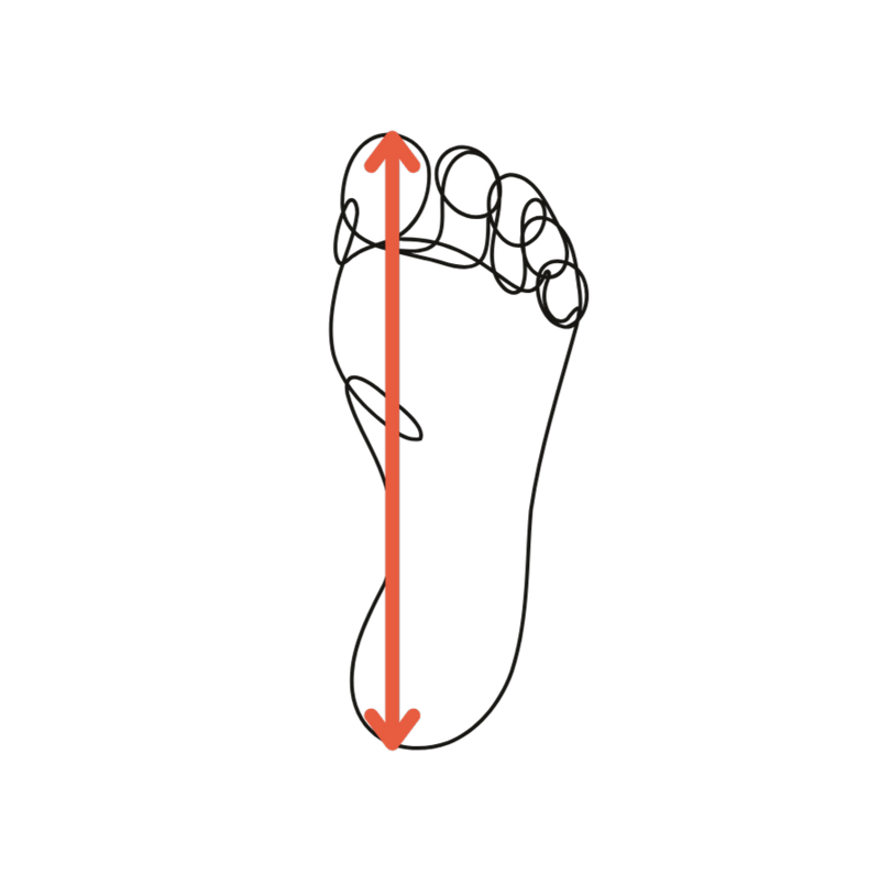 How to measure your feet | Measure your bunions | Calla Shoes